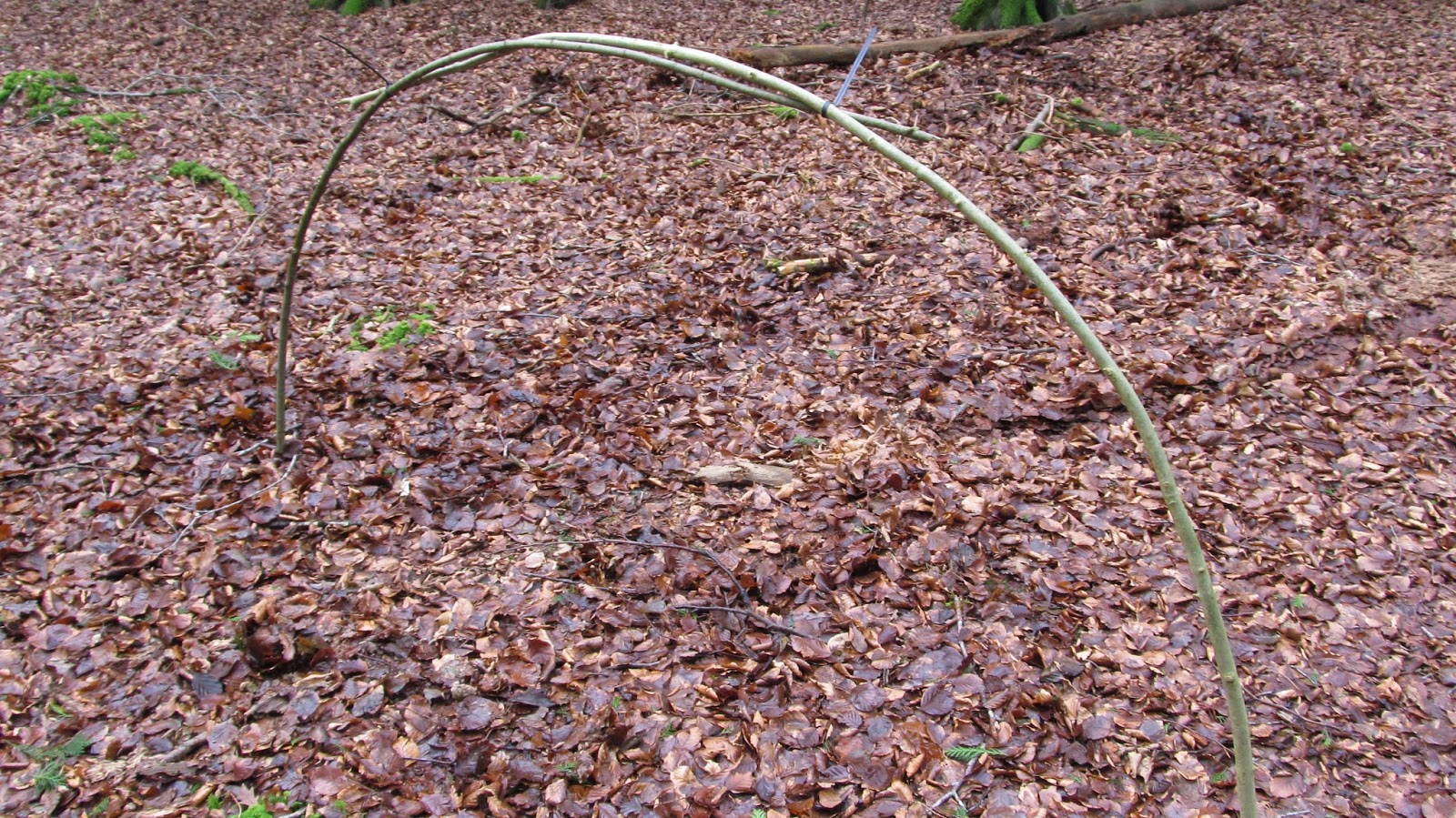 BUZZARD BUSHCRAFT: Bender Tent Survival Shelter