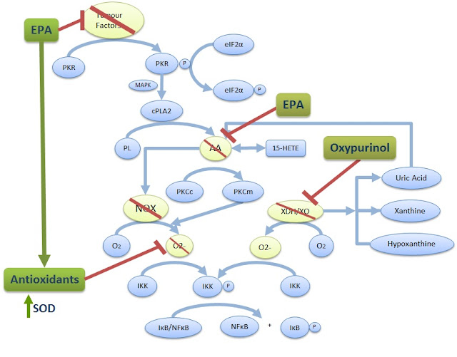 The Dryad's Diatribe: SeeMyScience: Fighting Back – EPA & Oxypurinol to ...