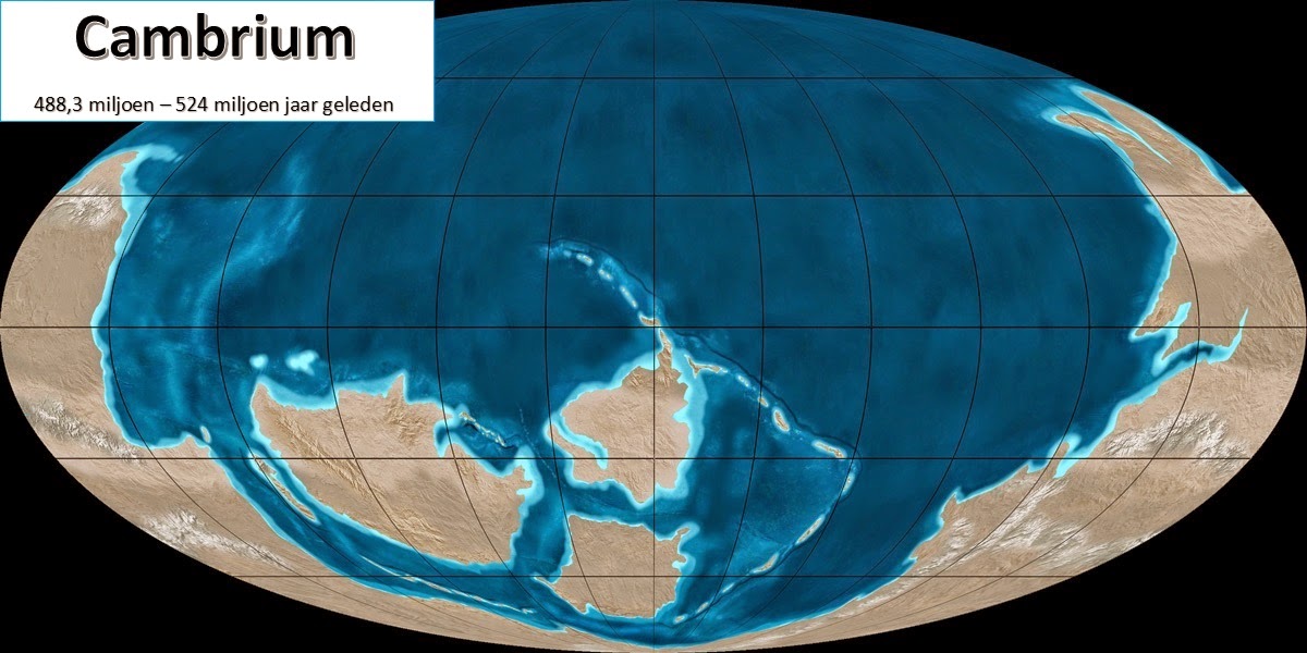 Experiences in technology