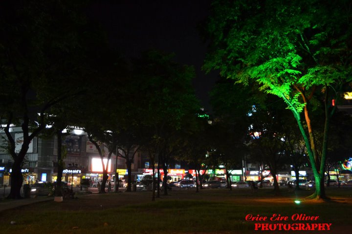 The Sceneries: Fuente Osmeña Circle View