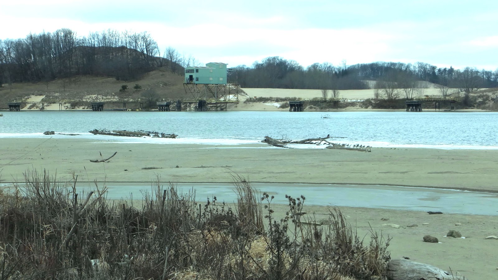 Plants Amaze Me: Port Sheldon Natural Area in Ottawa County