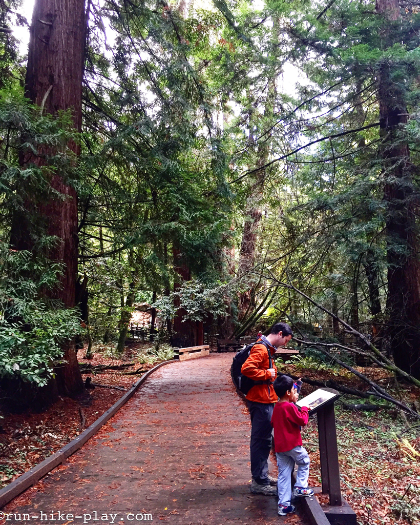 Run-Hike-Play: Fun day trip Part 1: Muir Woods National Monument & Muir ...