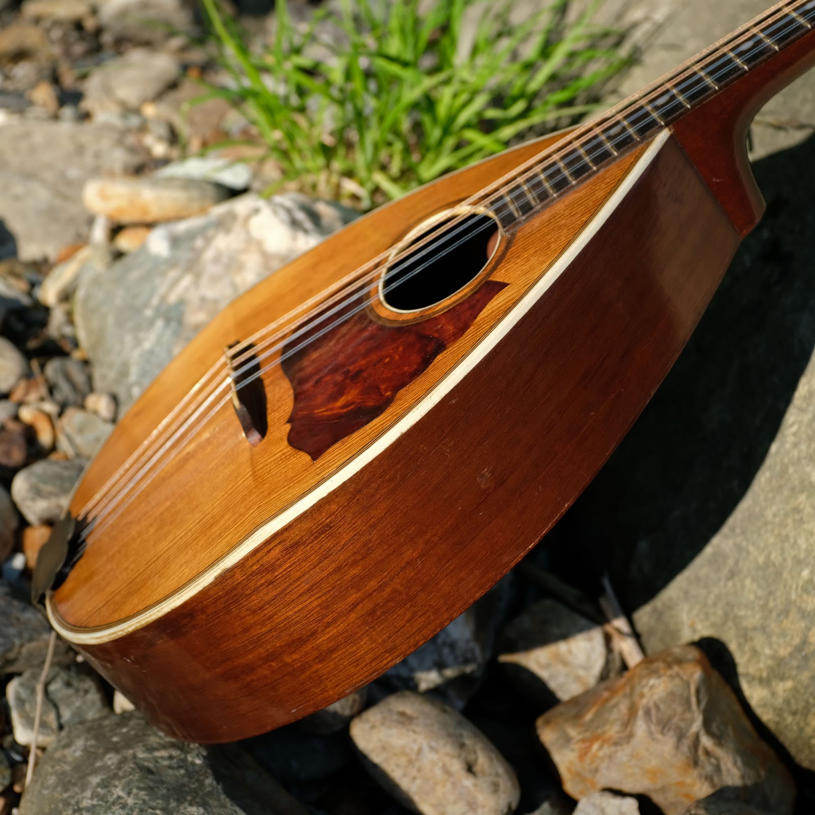 1920s Favilla Flatback Mandolin