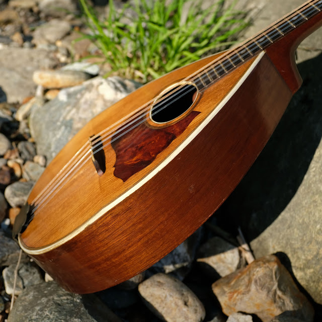1920s Favilla Flatback Mandolin