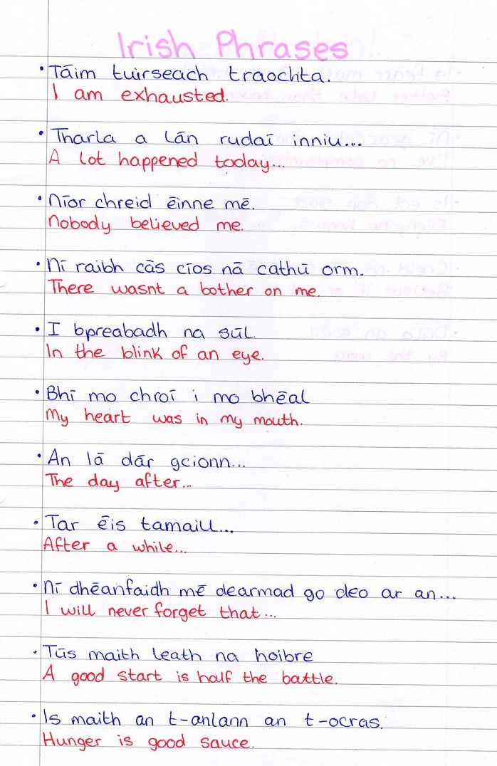 Study Notes By Kaz Irish Vocab Paper 1 OL study-notes-by-kaz-irish-vocab-paper-1-ol