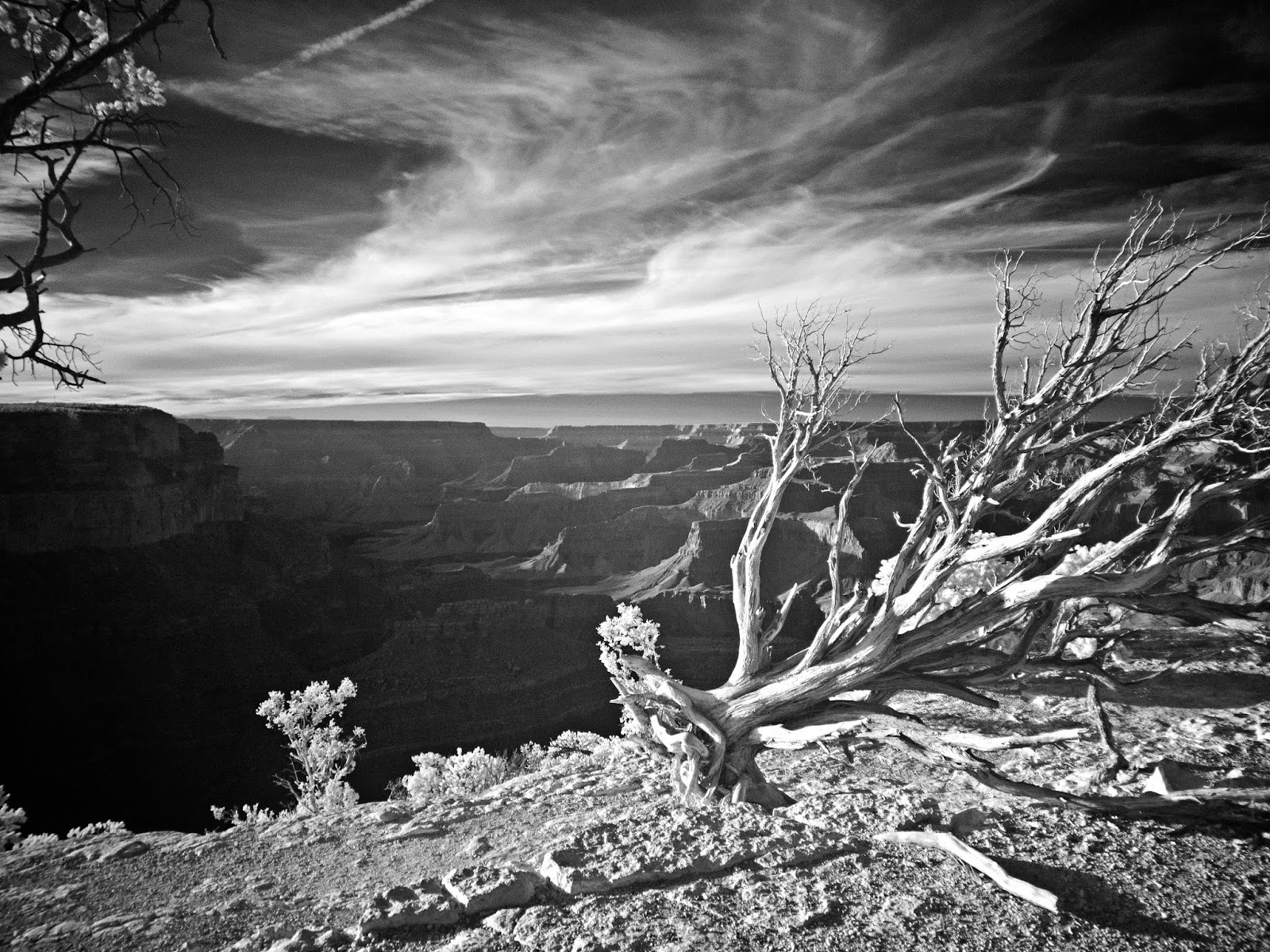 Thom Taylor Fine Arts Photos