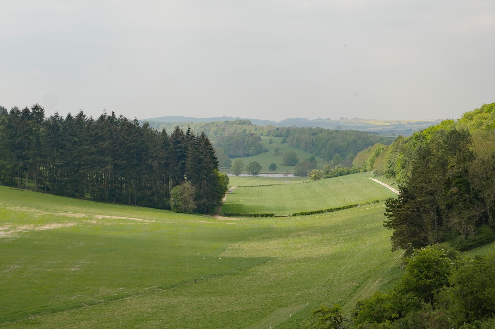 Walking in the country: The Fonthill estate