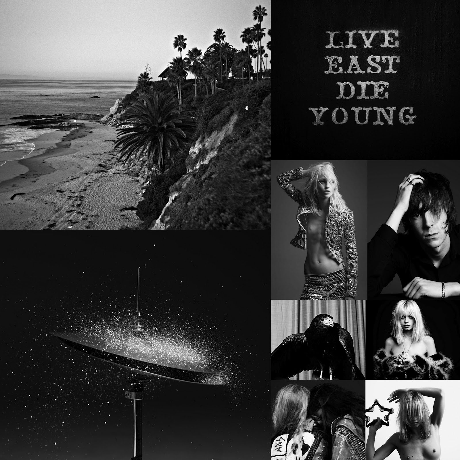 Moonlight Drive: HEDI SLIMANE DIARY