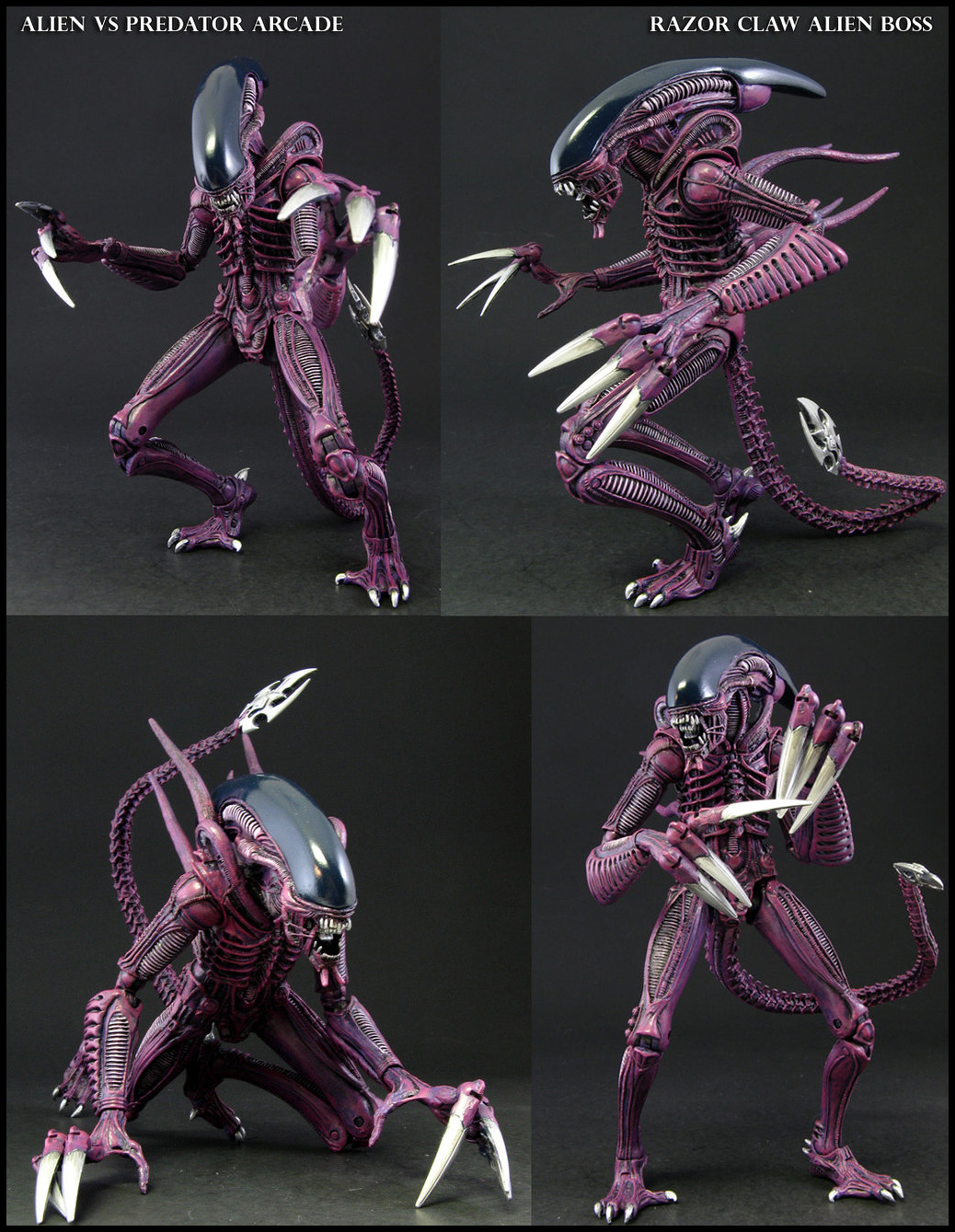 Aliens Custom Albino Xenomorph The Loyal Subjects | ubicaciondepersonas ...