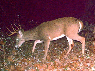Indiana Woods and Waters: Strategies for Hunting the Hoosier National ...