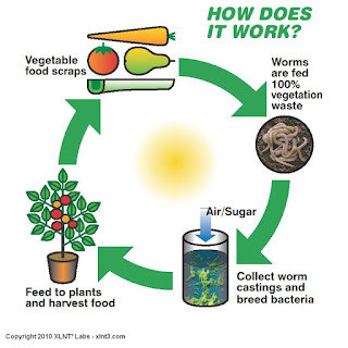 Horticulture: Composting