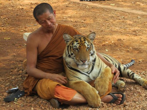 Crossroads in Abu Dhabi