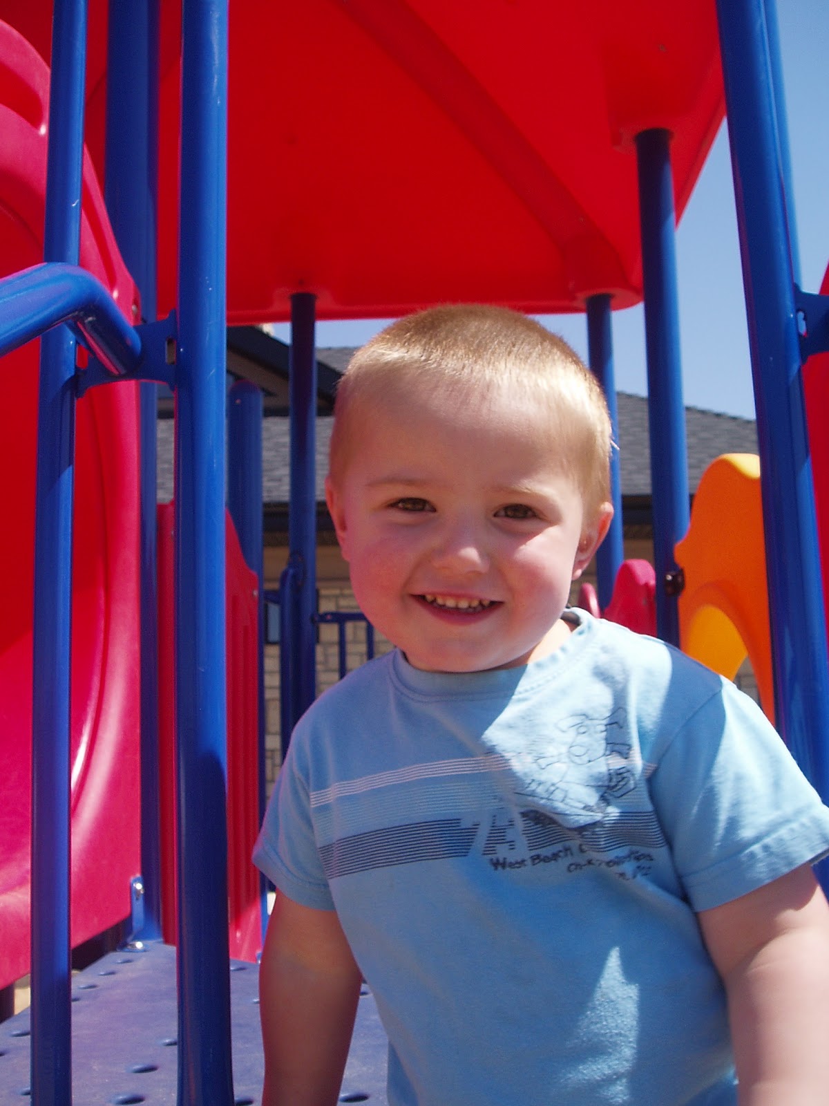 CHILD PROTECTION SQUAD - Life Without Lemons