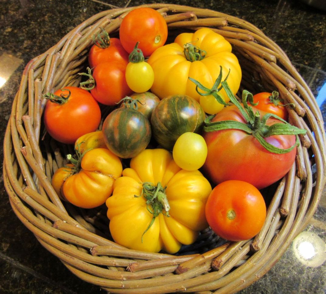 Gracewood Stitches: JCS Christmas Ornament & Tomatoes, Tomatoes, Tomatoes