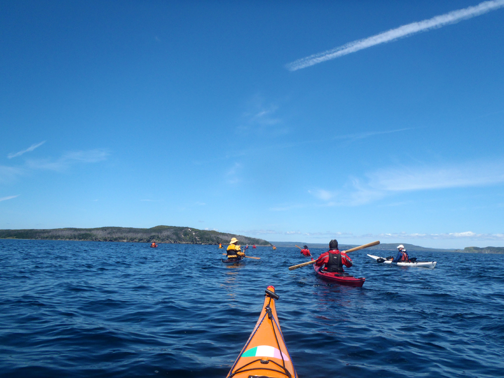 My Newfoundland Kayak Experience: Great Colinet Island (2016) Part 1