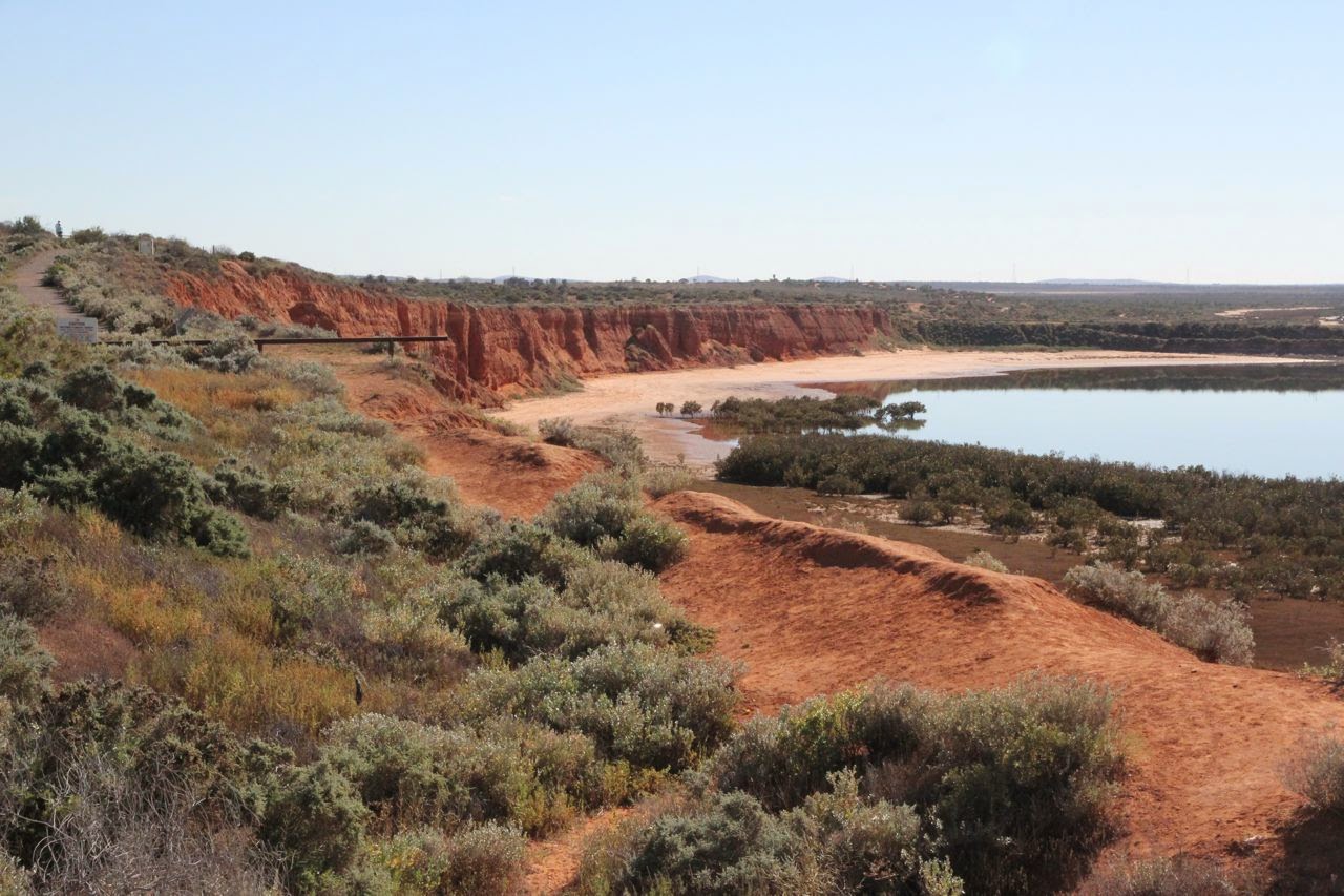 Judy & Brian Tour Oz: Port Augusta Arid Desert Botanical Gardens trains ...