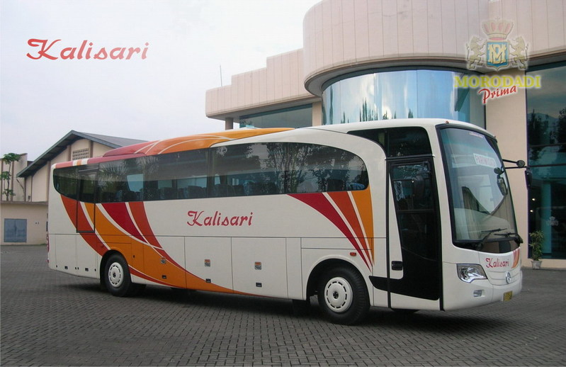 Jenis dan Tipe Bus Indonesia | Firman Koga