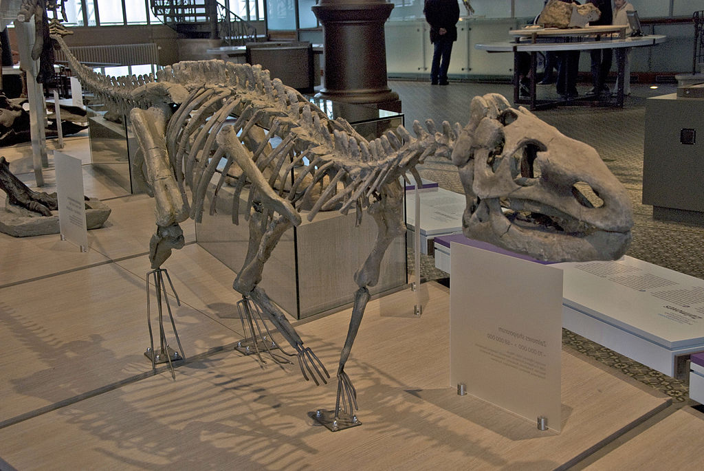 Kaprosuchus Skeleton