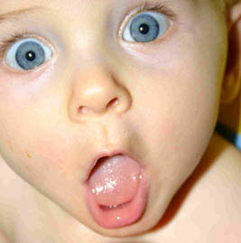 Debbi's Blog: Not Surprised...