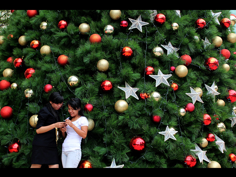Jambu Bol Cemet: Merry Christmas - Christmas trees look adorned Grand ...