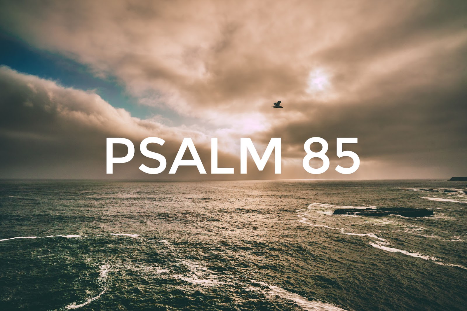 NGƯỜI LỮ HÀNH HY VỌNG: Thánh vịnh 85