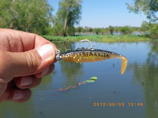 SECRET BARRAMUNDI by Hiro Nakamura: Mouth Almighty SQUIDGY FISH ...