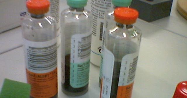 vox médica : Question the Default! Follow-up Blood Cultures for Gram ...