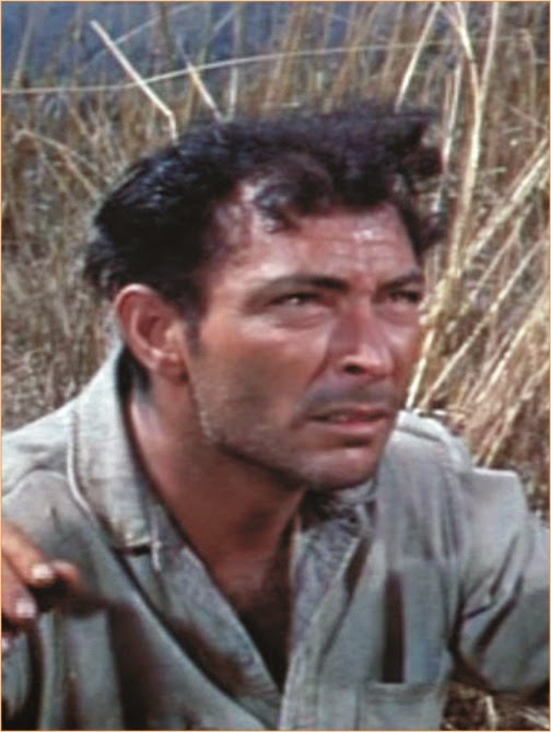 WESTERNCINEMANIA: LEE VAN CLEEF, ÍDOLO DO WESTERN, COMPLETARIA 90 ANOS ...
