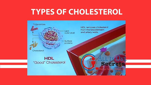 TYPES OF CHOLESTEROL - Live Healthy- Live Long