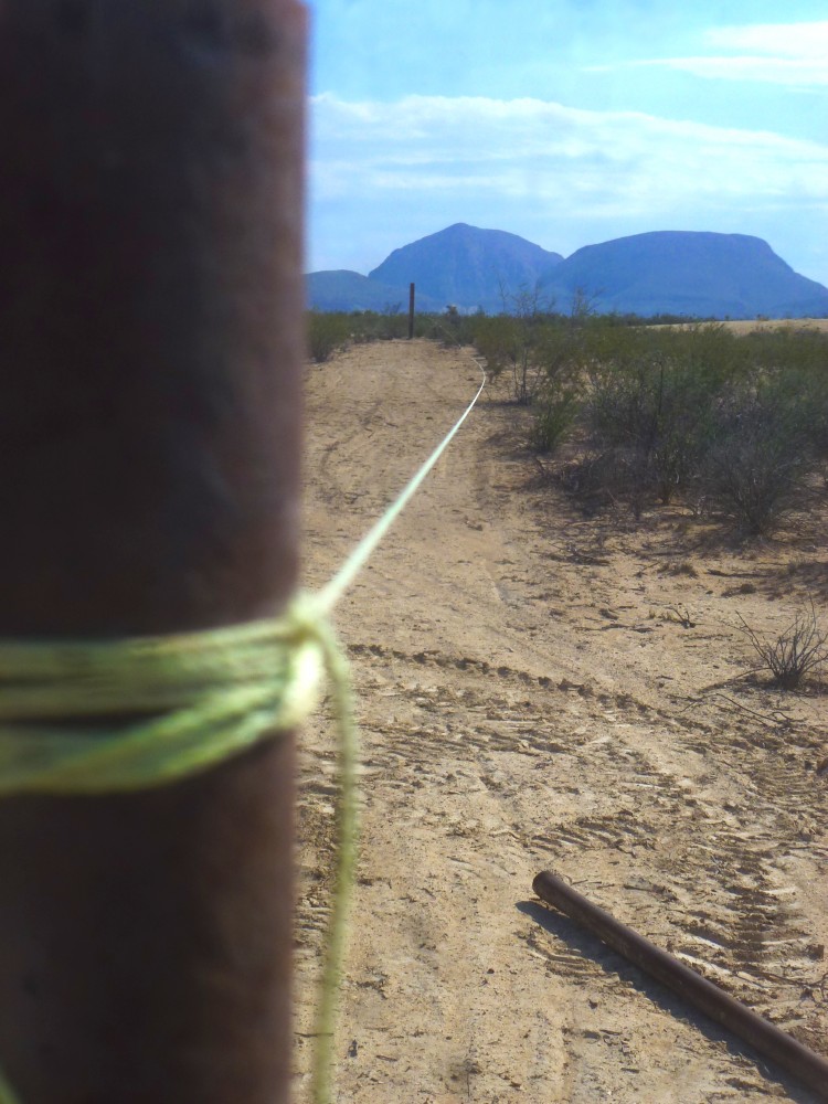 The Field Lab: string line in the wind...