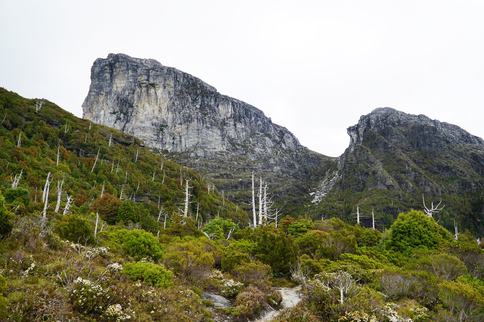 Frenchmans Cap (TAS) ~ The Long Way's Better