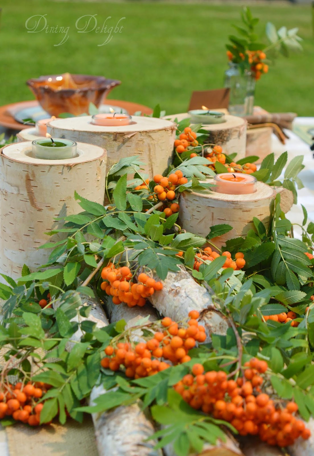 Dining Delight: Berries & Birch - Summer to Fall Tablescape