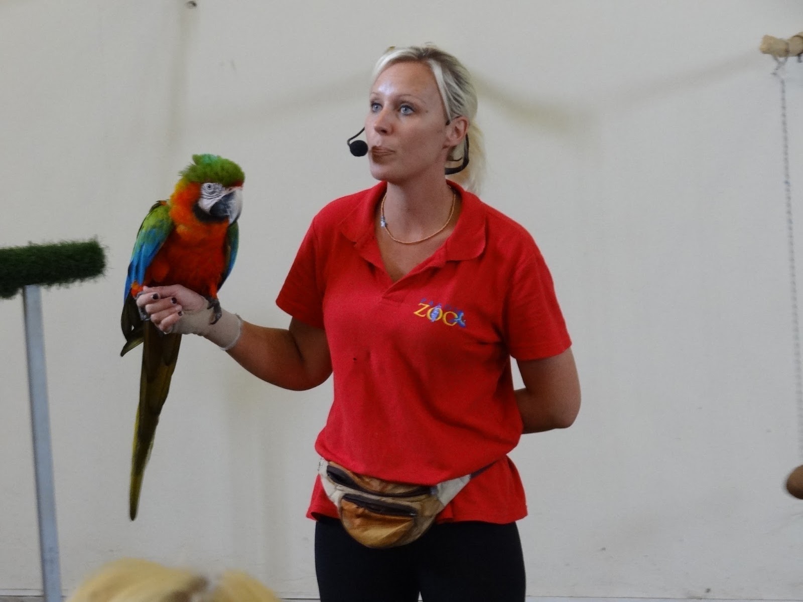 A Day in Cyprus | Pafos Zoo | Part II - The Nerdy Me