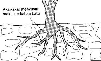 Pagar Museh: KULIAH 8 - LULUHAWA