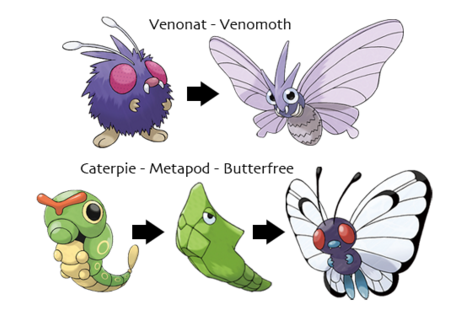 Venonat Evolution