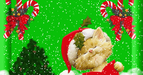 LETRAS, ARTE Y ORIGINALIDAD: PARA TI LECTOR: FELIZ NAVIDAD