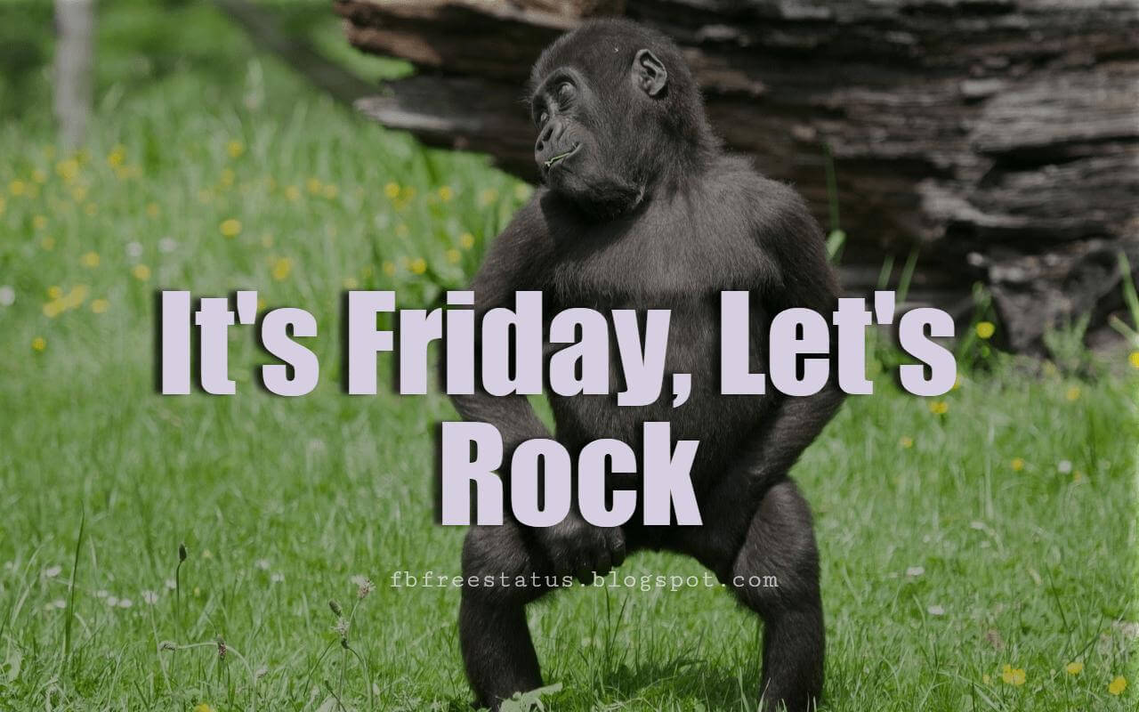 Funny Friday Quotes to Make Your Day Awesome