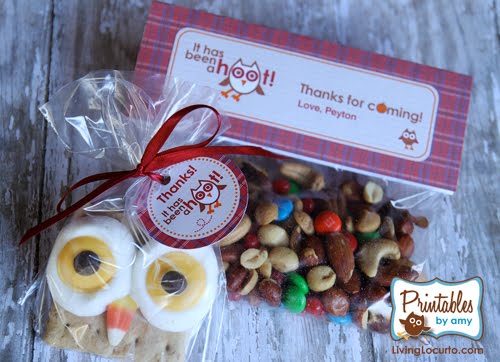 Life with the Depews: Owl Smores Tutorial