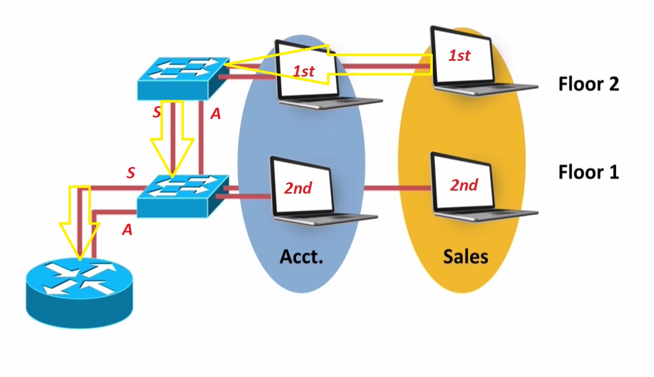 VLAN Theory | Best Cisco CCNA CCNP and Linux/CentOS PDF Notes