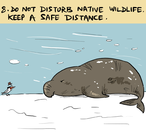 Green Humour: Sustainable Travel Tips from the Arctic Tern