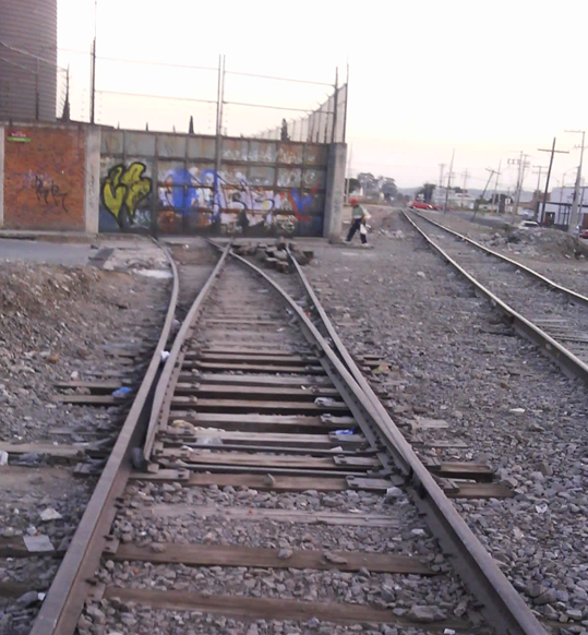 ESCALA N CELAYA: 2018