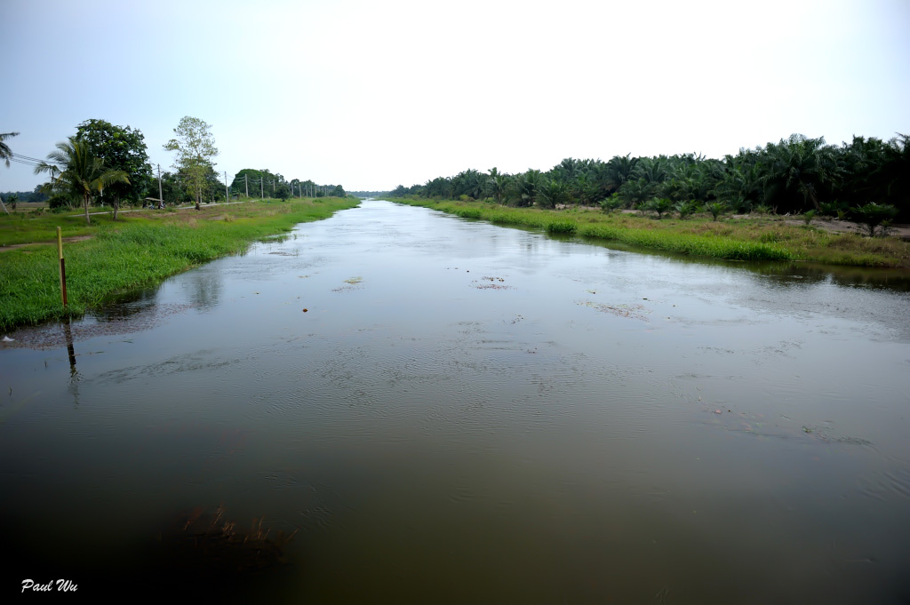 Southern Wings: Birds Of Air Hitam