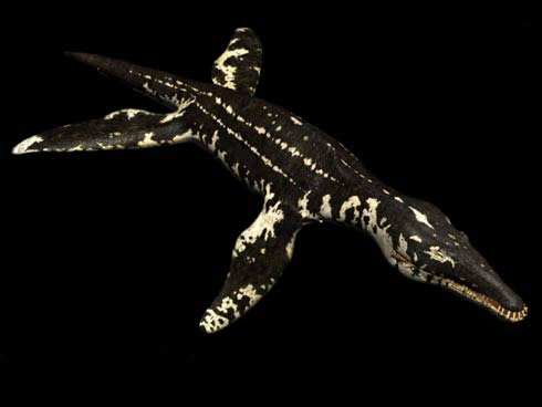 Reptossaurus: LIOPLEURODONTE