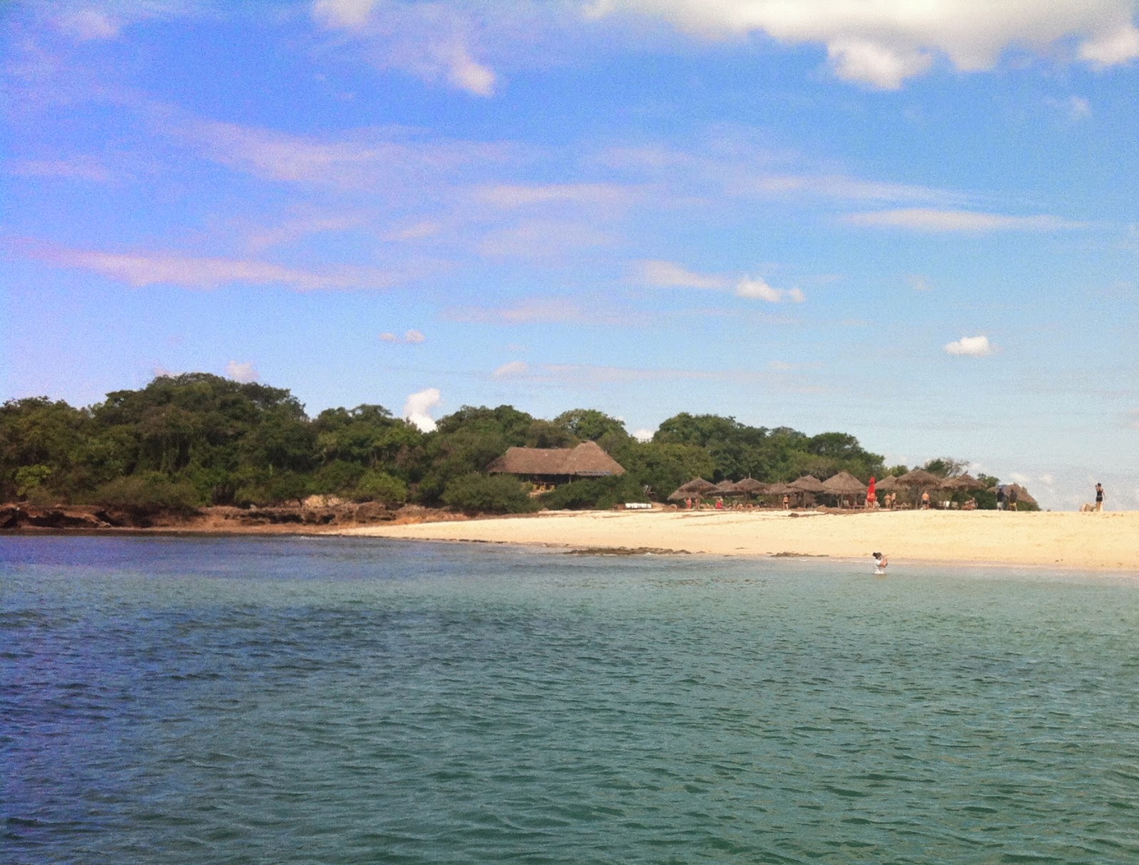 WDI Global Impact 2014: View from the Passenger Window