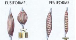 Diet & Exercise: Músculos Peniformes e Fusiformes