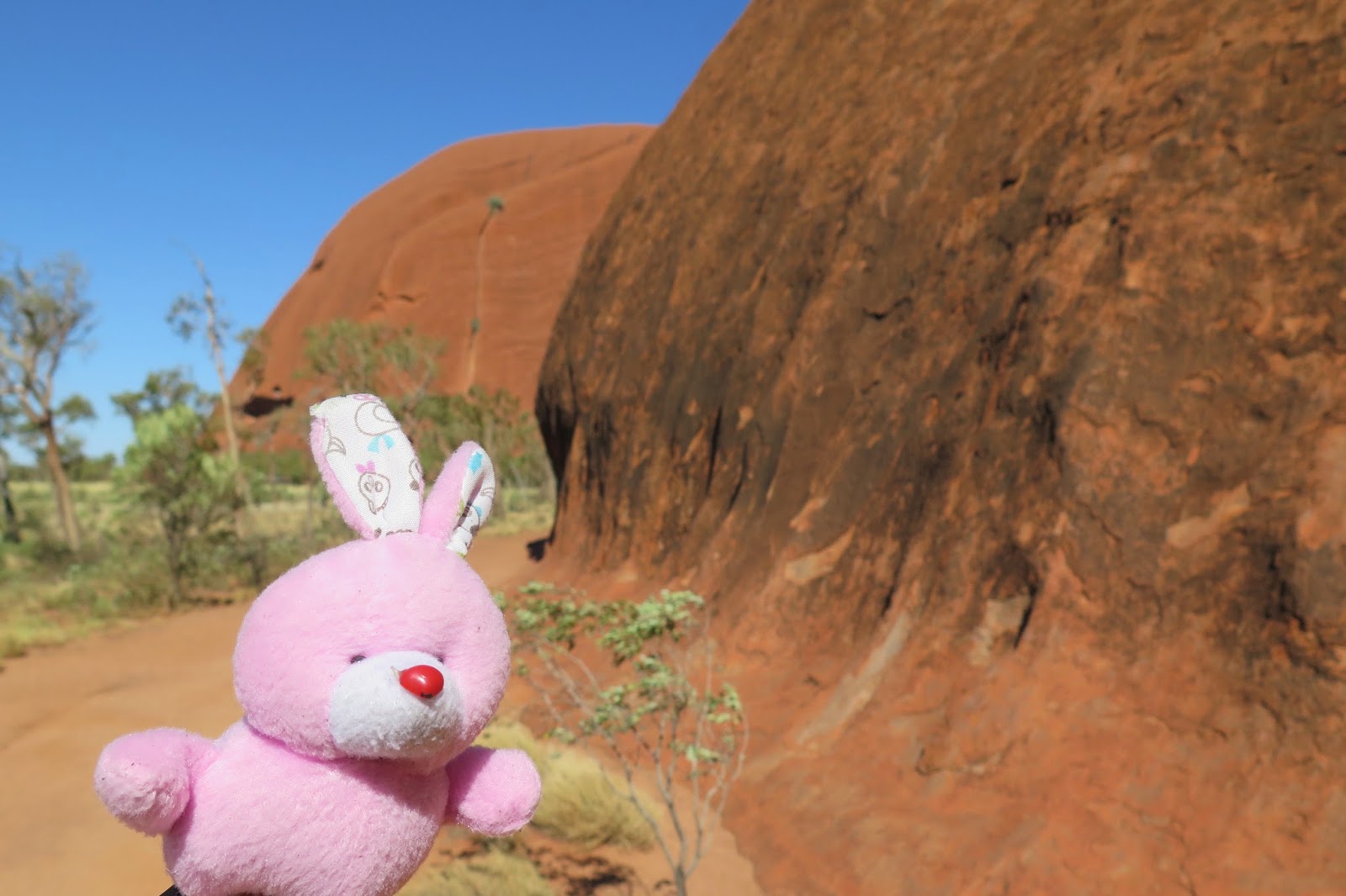 It's what i do: Outback Adventure - Part 2