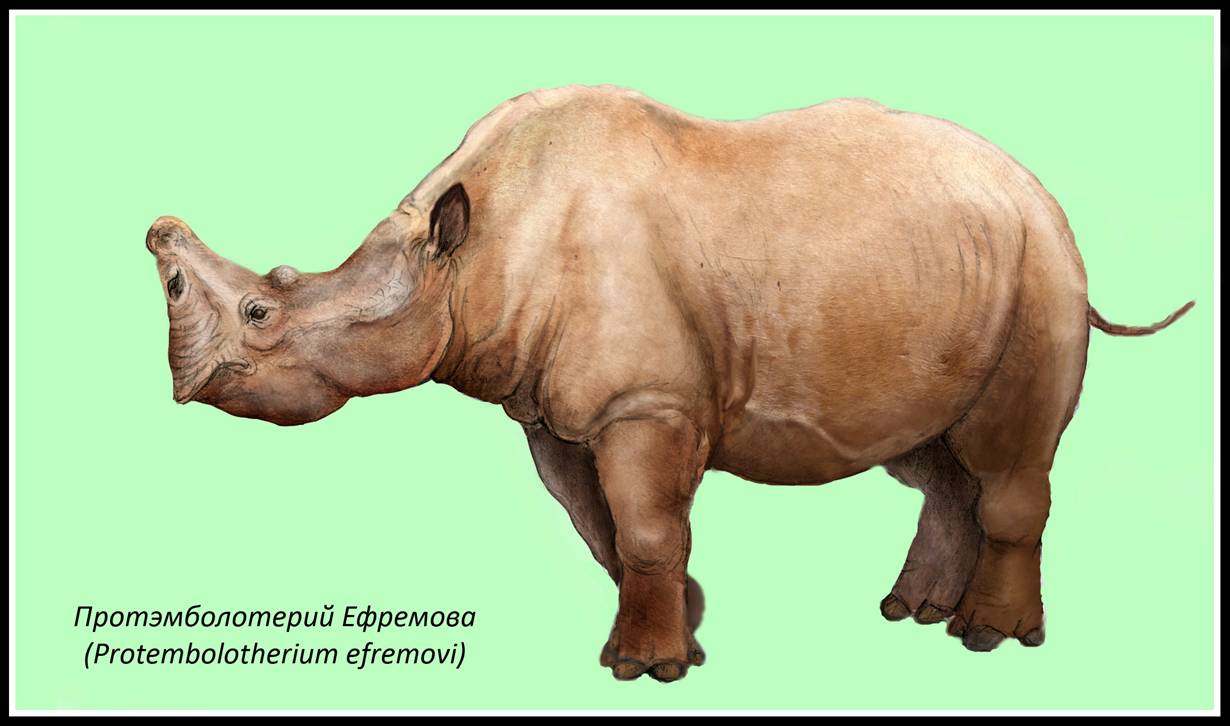 Escenarios prehistóricos: Protembolotherium