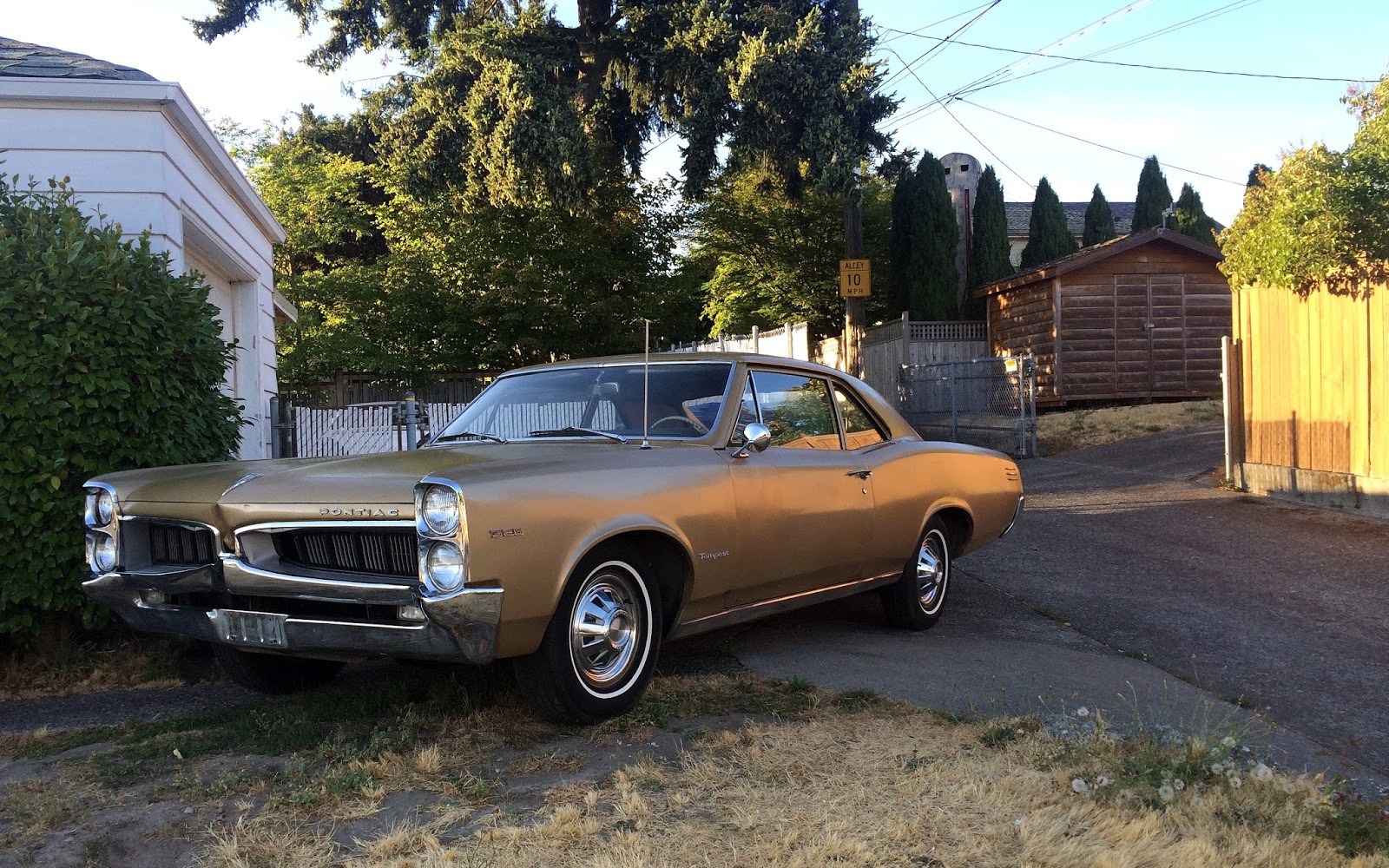 Seattle's Classics: 1967 Pontiac Tempest