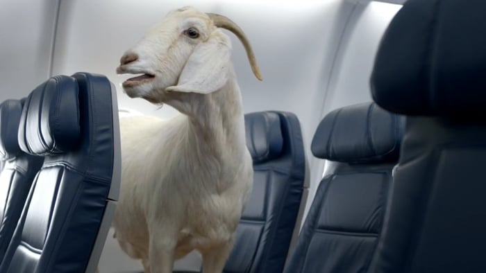 Just met Dylan Crews on my flight to BR….. | Tiger Rant