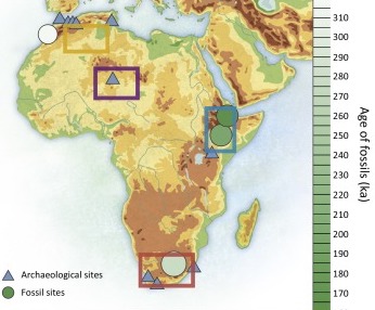 eScienceCommons: Evidence reveals our fractured African roots